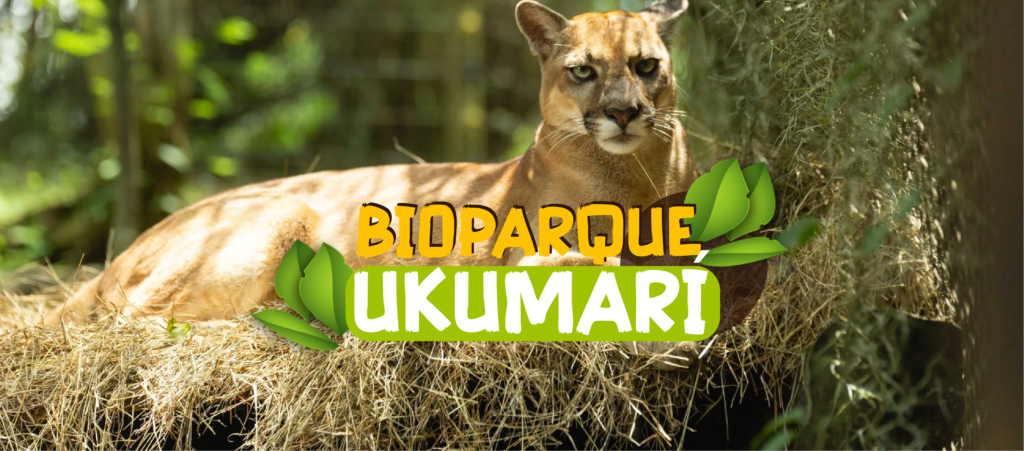 Bioparque Ukumarí, parque temático de flora Y fauna🦝 más grande ...