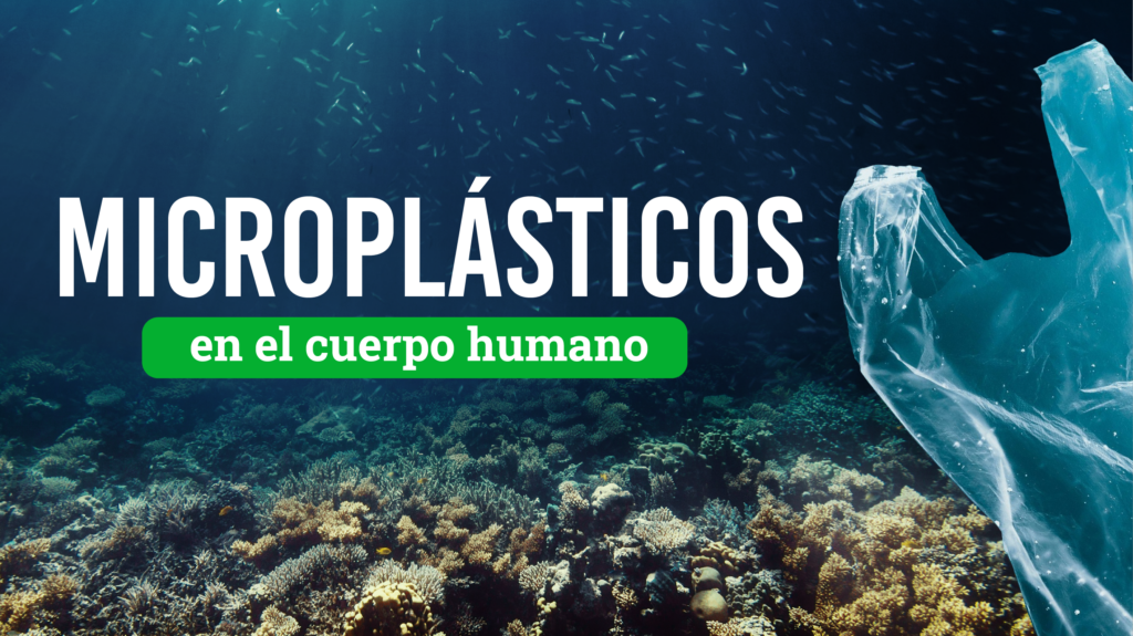 Cómo los microplásticos están afectando el cuerpo humano - Previser